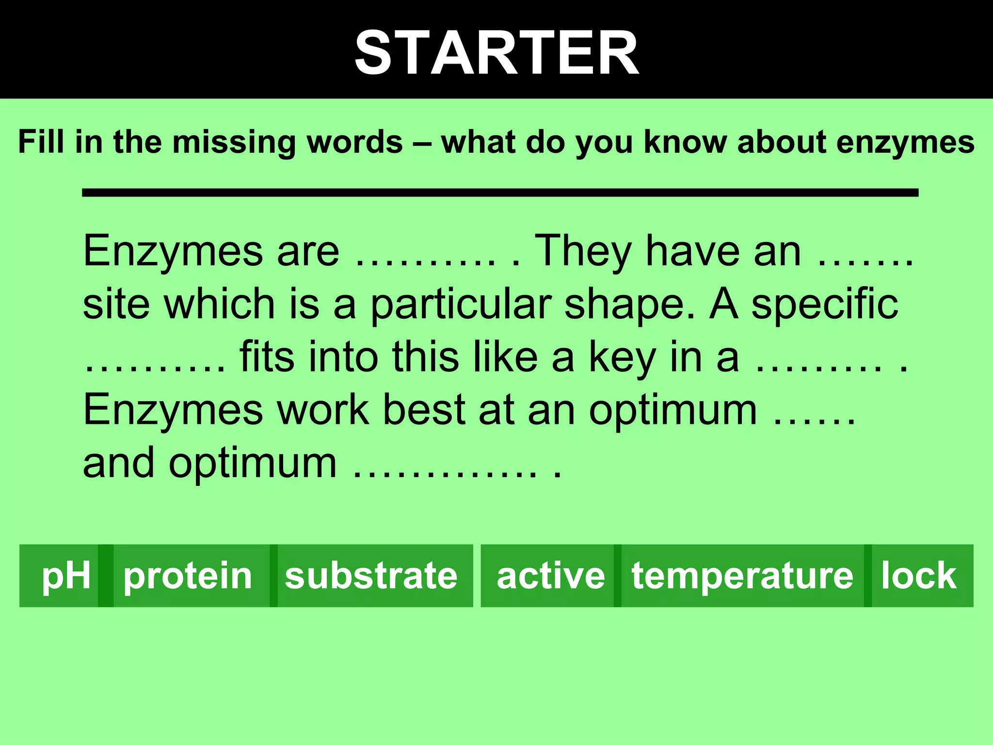 GCSE Biology Enzymes | PPT