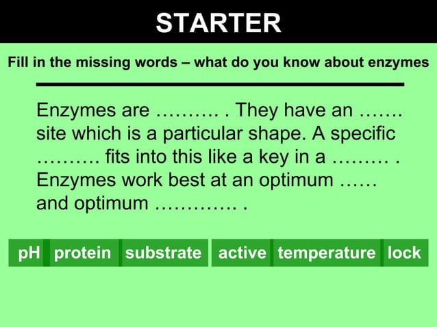 GCSE Biology Enzymes | PPT