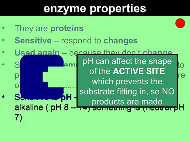 GCSE Biology Enzymes | PPT
