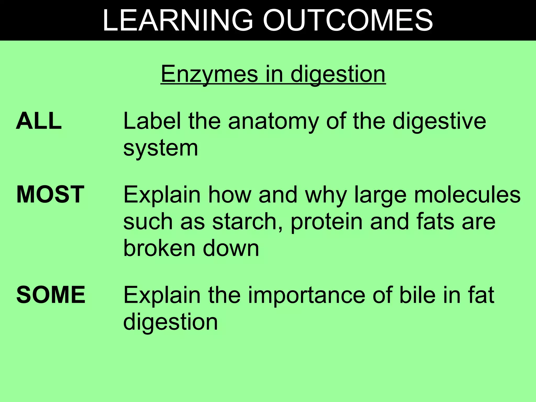 GCSE Biology Enzymes in digestion | PPT