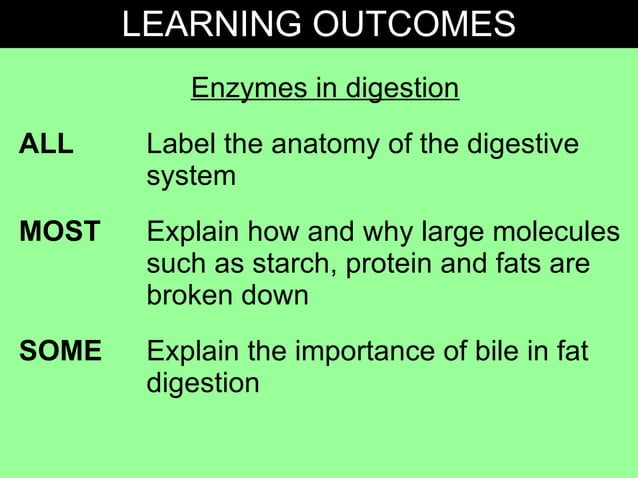 GCSE Biology Enzymes in digestion | PPT