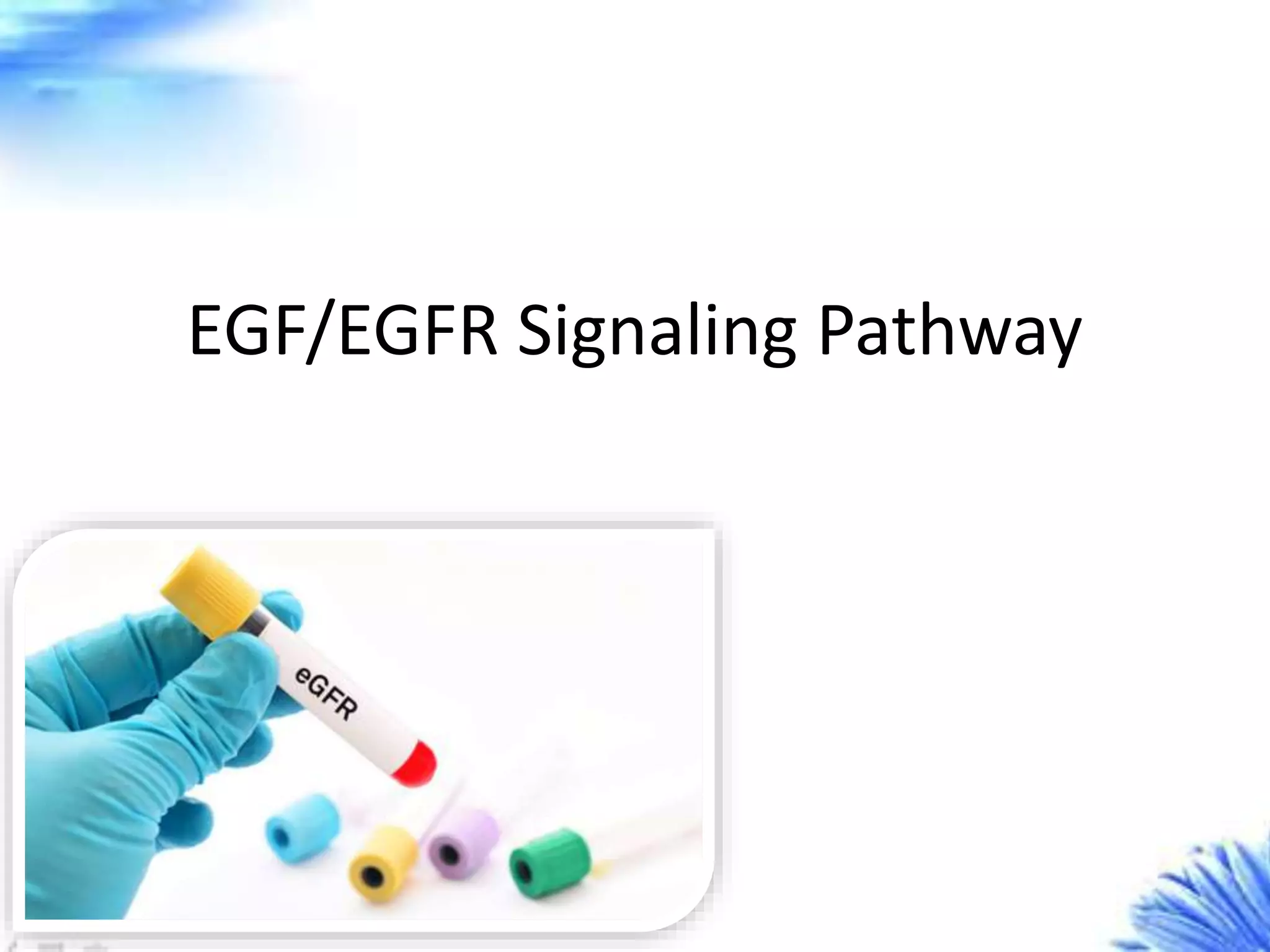 Egf egfr signaling pathway-creative diagnostics | PPTX