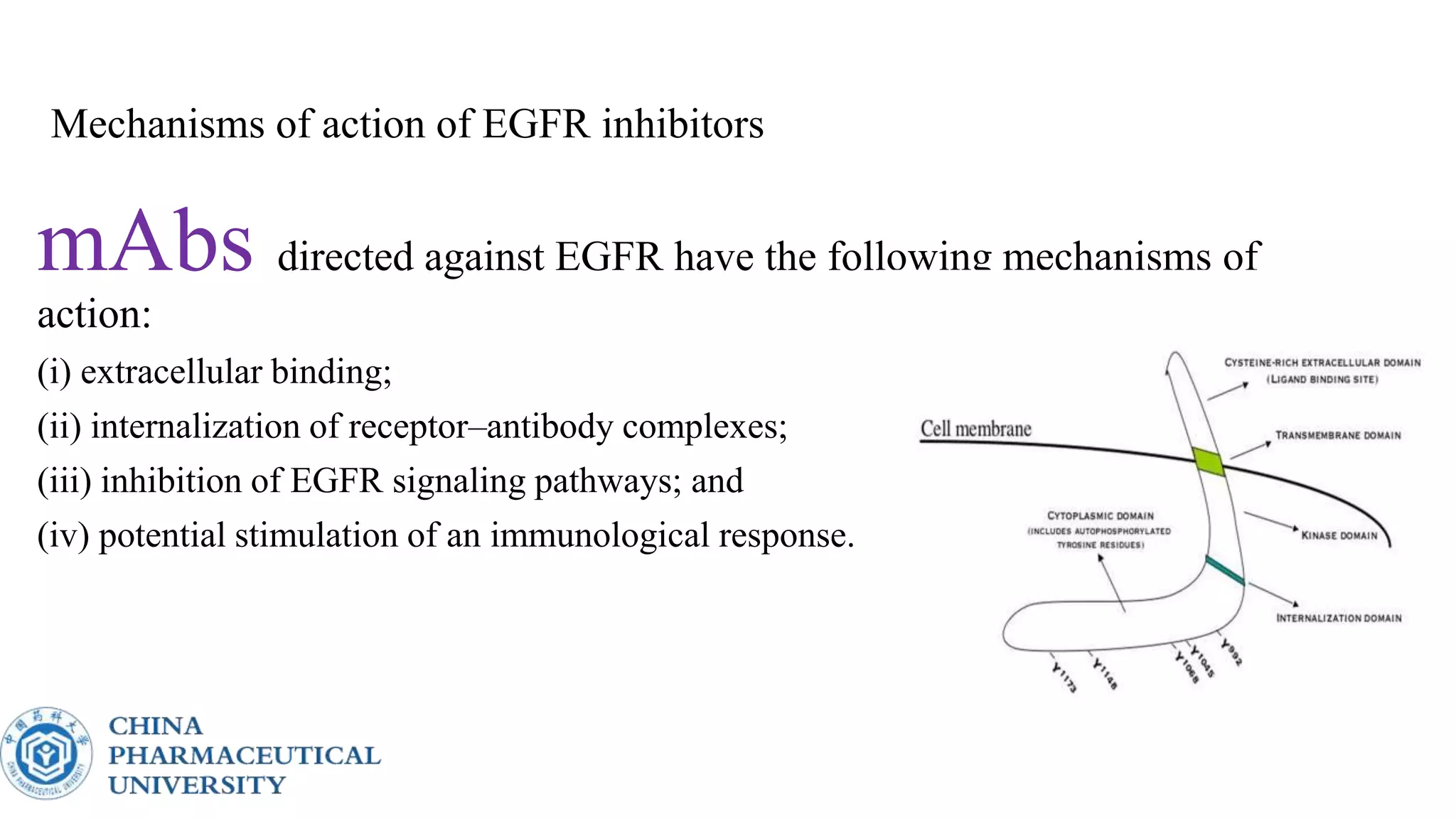 epidermal growth factor receptor (EGFR),Epidermal growth factor ...