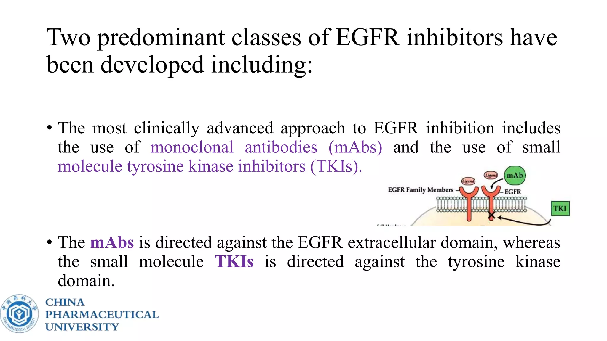 epidermal growth factor receptor (EGFR),Epidermal growth factor ...