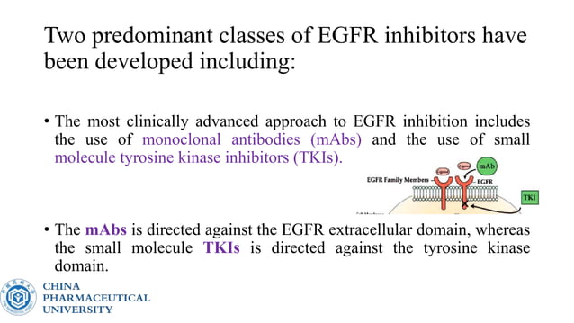 epidermal growth factor receptor (EGFR),Epidermal growth factor ...