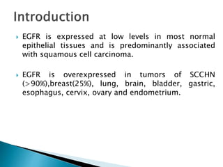 EGFR in cervical cancer | PPTX