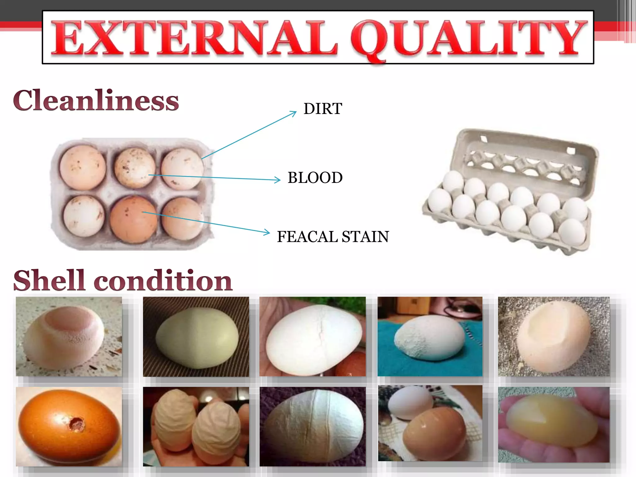 quality of egg and poultry | PPTX