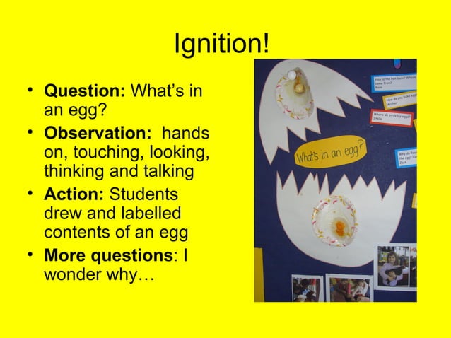 Egg Inquiry Powerpoint | PPT
