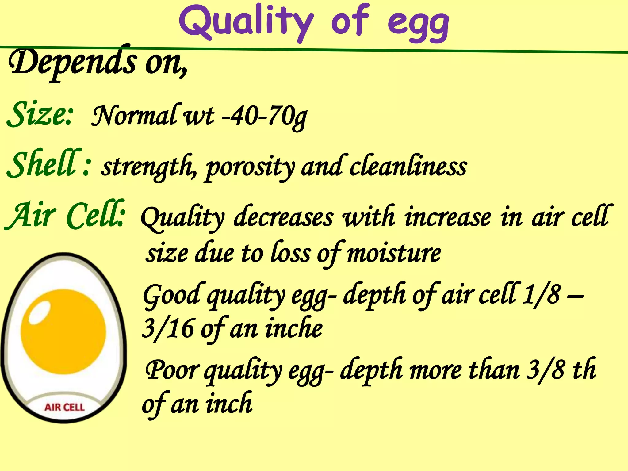 Egg ppt | PPTX