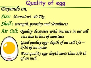 Egg ppt | PPTX