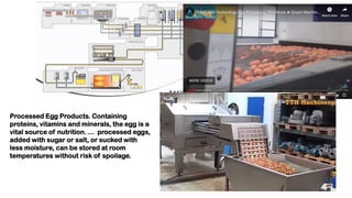 Egg processing - projects | PPT