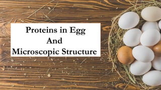 Egg-Proteins, Microscopic Structure.pptx