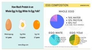 Egg-Proteins, Microscopic Structure.pptx