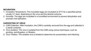 Embryonated egg inoculation culture for virus ppt | PPTX