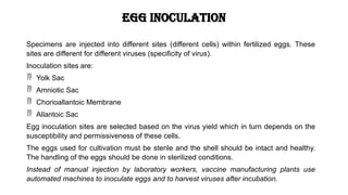 Embryonated egg inoculation culture for virus ppt | PPTX