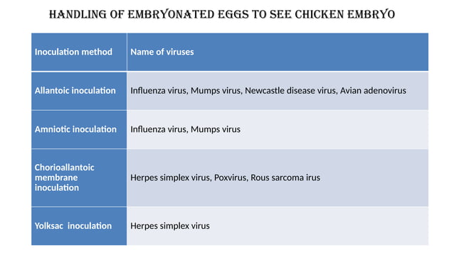 Embryonated egg inoculation culture for virus ppt | PPTX