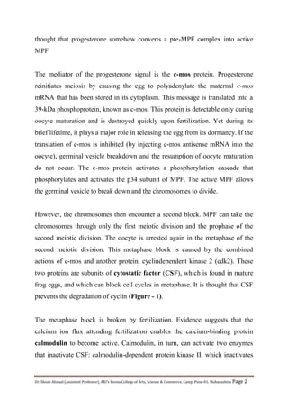 Egg activation | PDF
