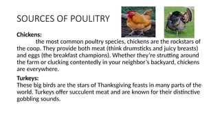 Egg and poultry - Sources/spoilage/prevention/Contamination | PPTX
