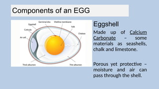 Topic1: The Chicken Egg Biology and Development | PPTX