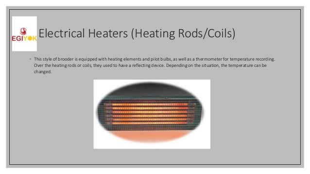 Egg candler and Brooder Equipment in poultry | PPTX