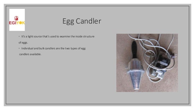 Egg candler and Brooder Equipment in poultry | PPTX