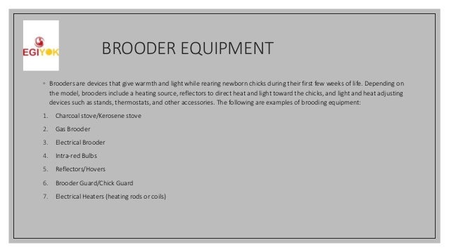 Egg candler and Brooder Equipment in poultry | PPTX