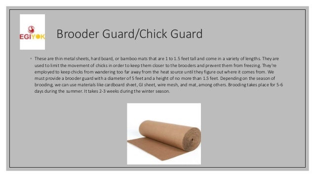 Egg candler and Brooder Equipment in poultry | PPTX