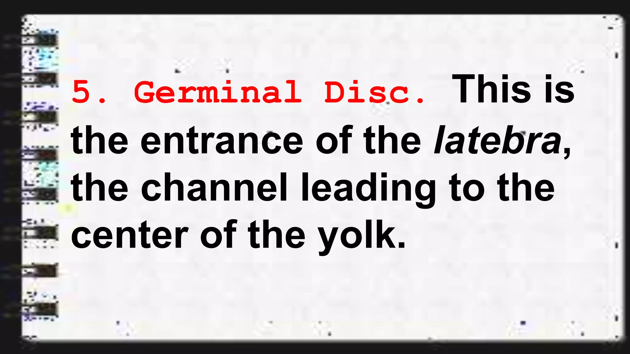 Egg composition.pptx