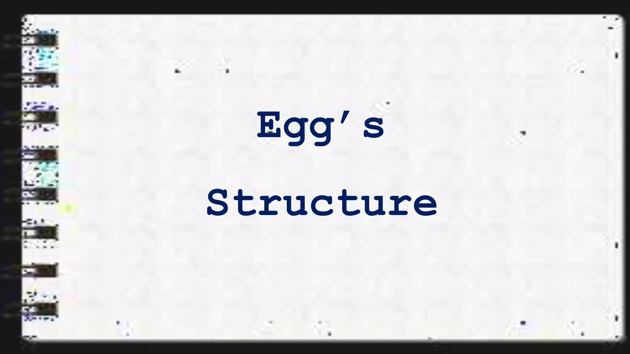 Egg composition.pptx