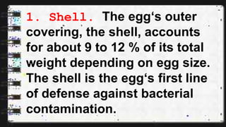 Egg composition.pptx