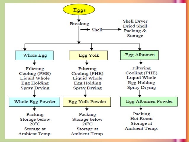 Egg composition and processing by monika tambakhe