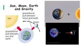 EGG DROP CHALLENGE: Factors affecting Gravity | PPTX