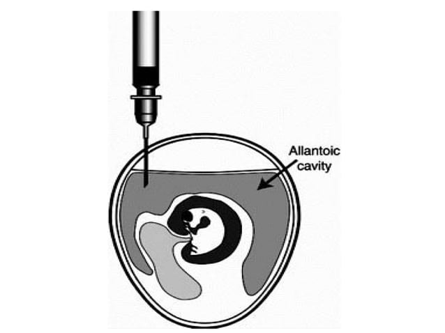 egg exercise.ppt........................................ | PPTX