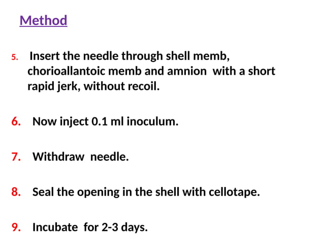 egg exercise.ppt........................................ | PPTX