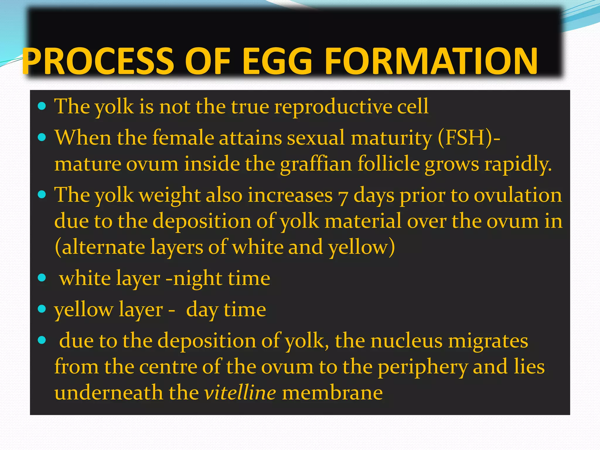 Egg formation | PPTX