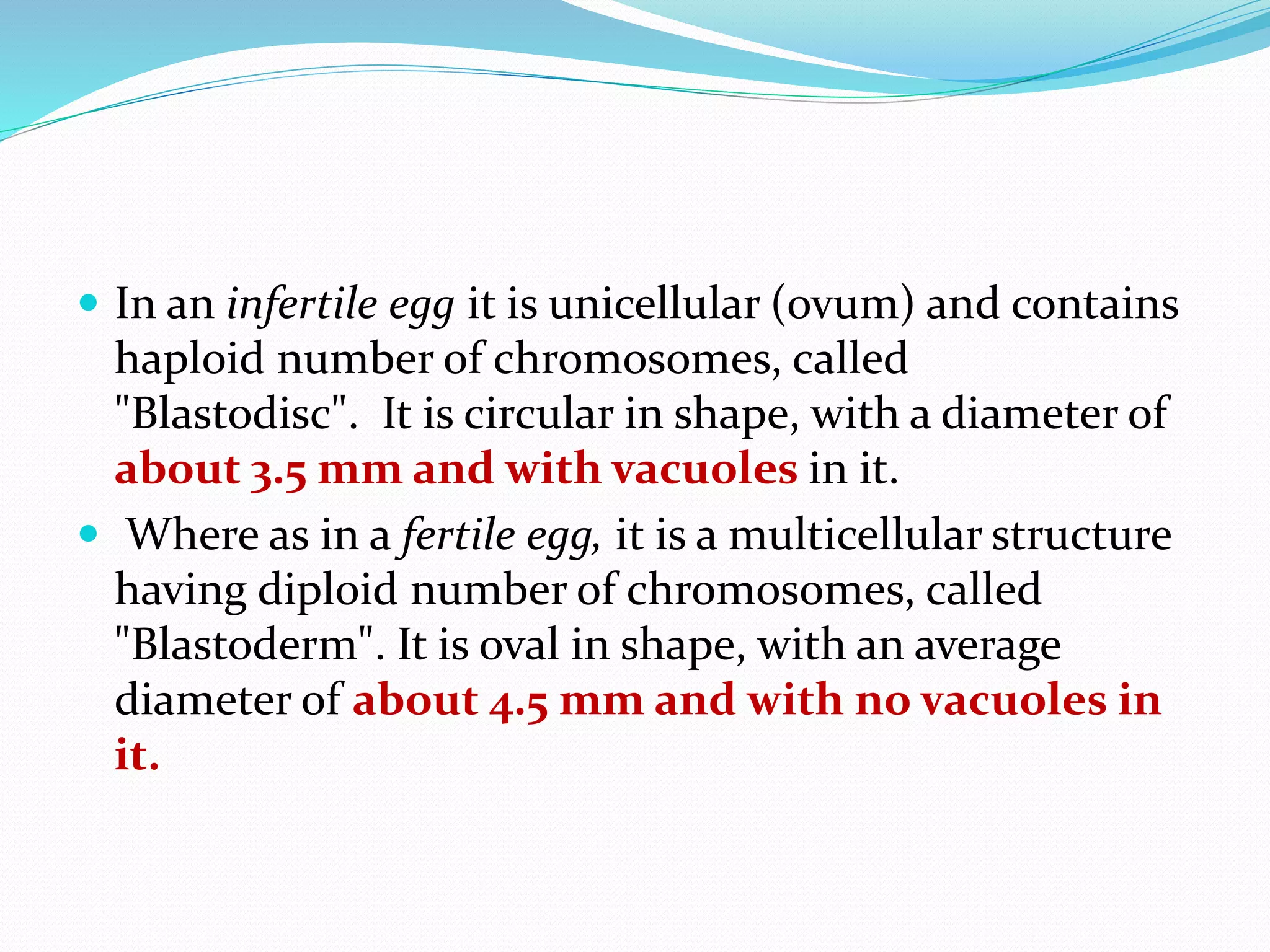 Egg formation | PPTX