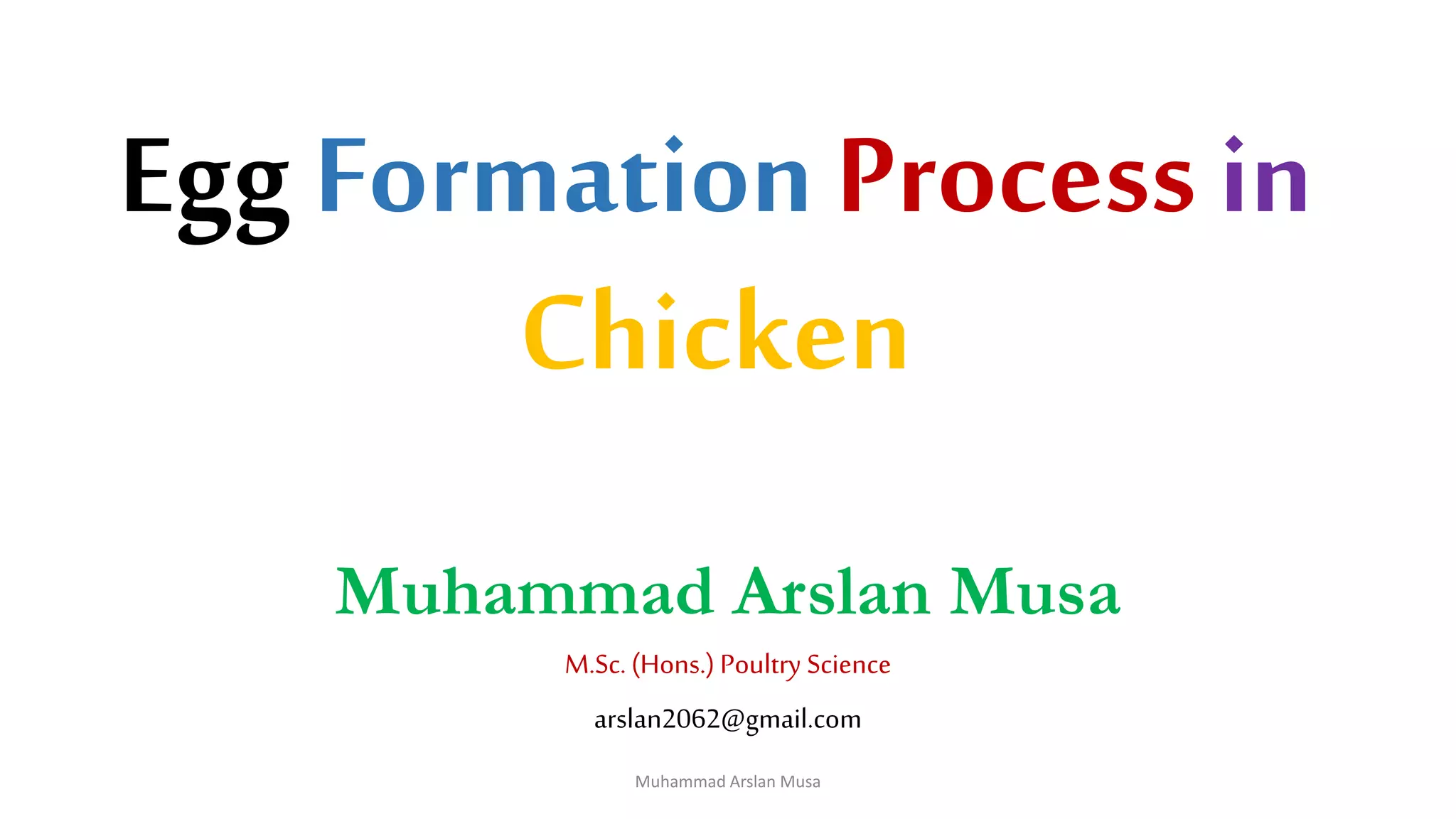 Egg formation process in chicken | PPSX