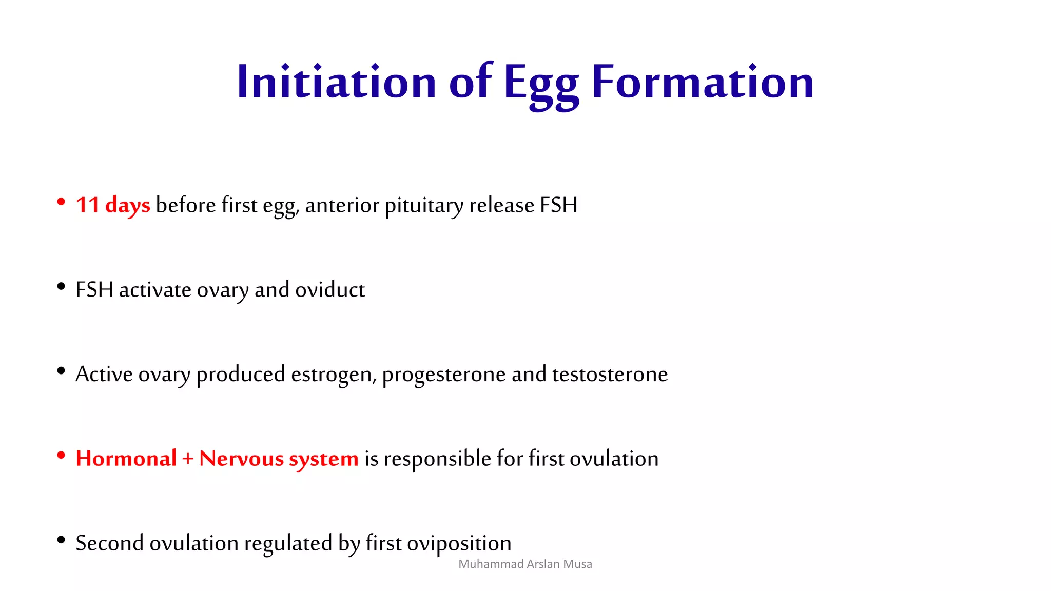 Egg formation process in chicken | PPSX