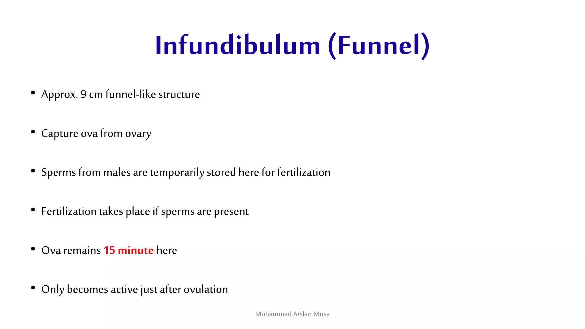 Egg formation process in chicken | PPSX