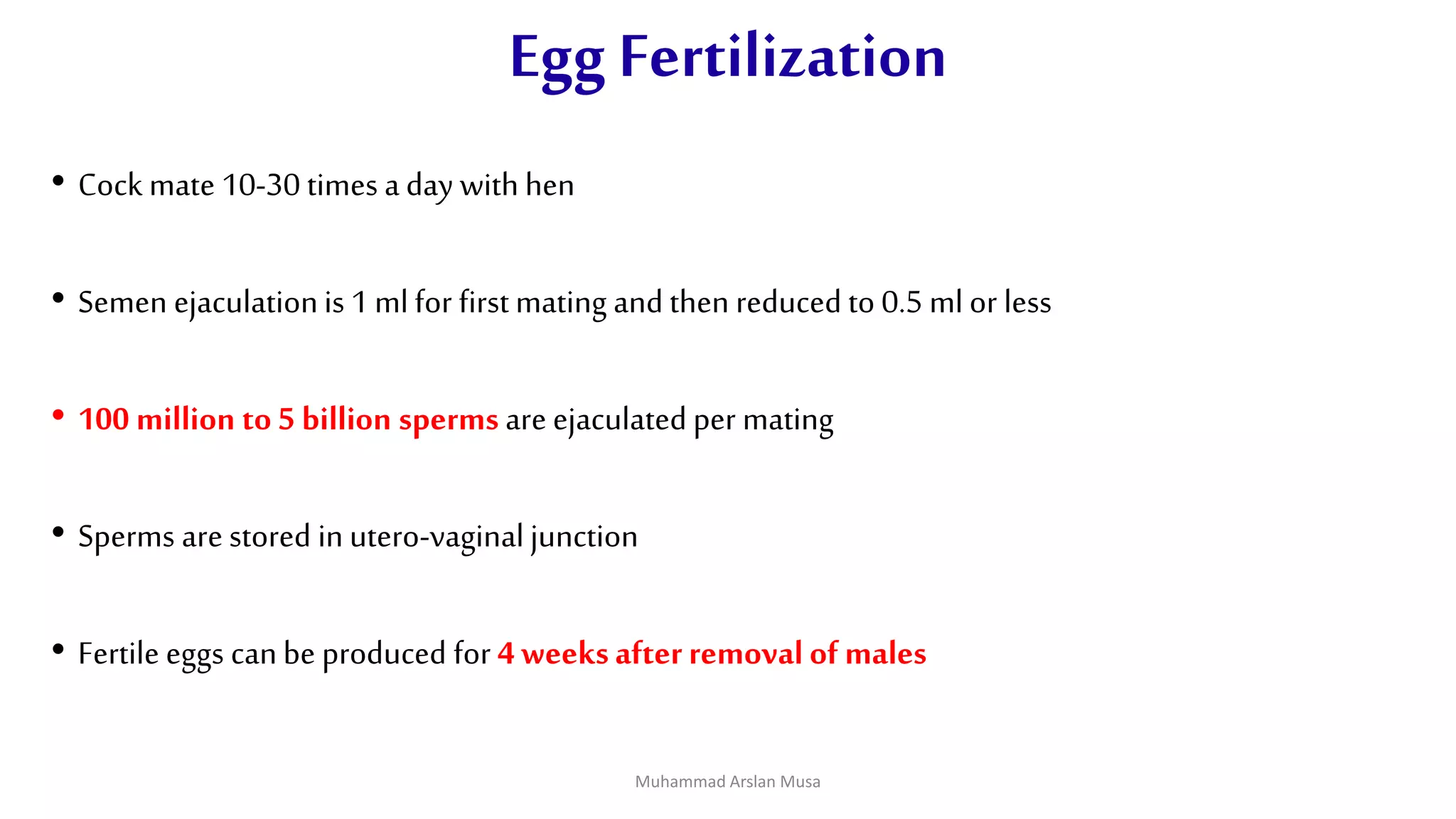 Egg formation process in chicken | PPSX