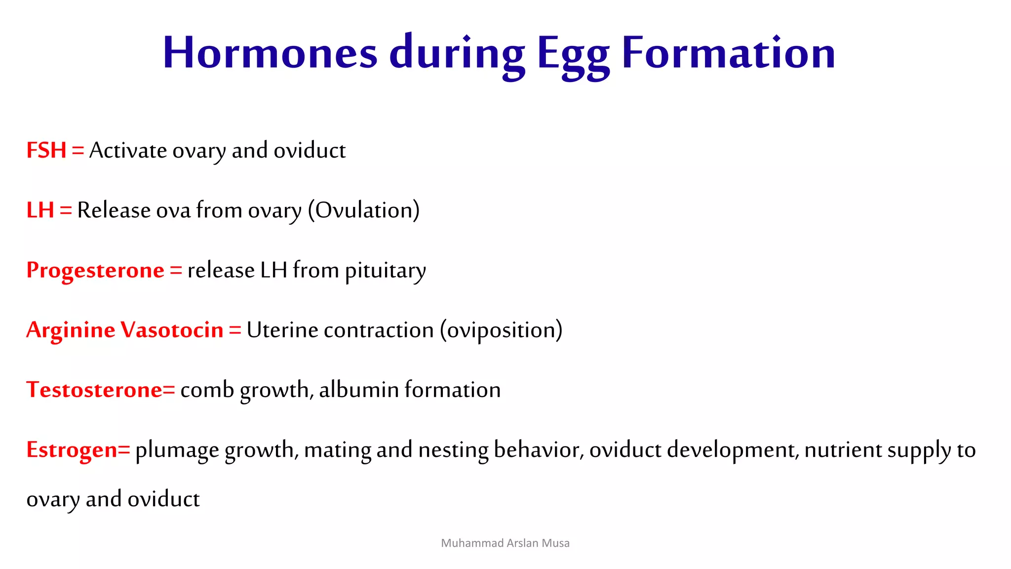 Egg formation process in chicken | PPSX