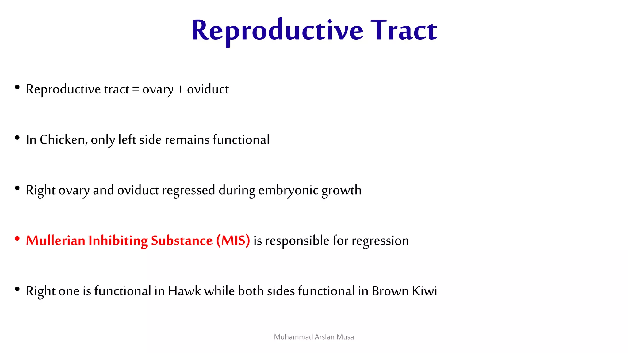 Egg formation process in chicken | PPSX