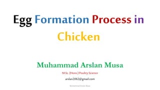 Egg formation process in chicken | PPSX