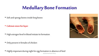 Egg formation process in chicken | PPSX