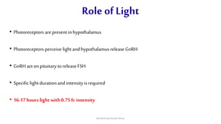 Egg formation process in chicken | PPSX
