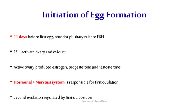 Egg formation process in chicken | PPSX