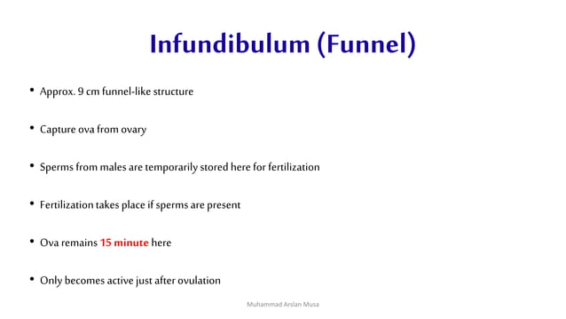 Egg formation process in chicken | PPSX