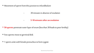 Egg formation process in chicken | PPSX