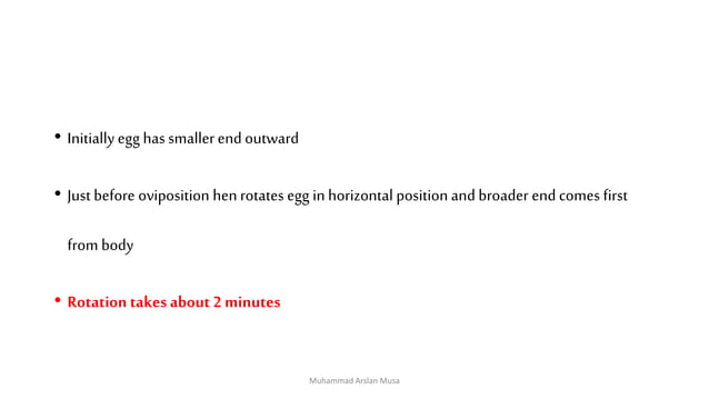 Egg formation process in chicken | PPSX
