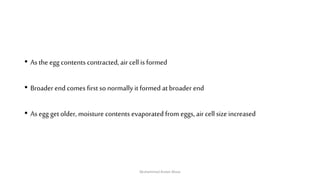 Egg formation process in chicken | PPSX